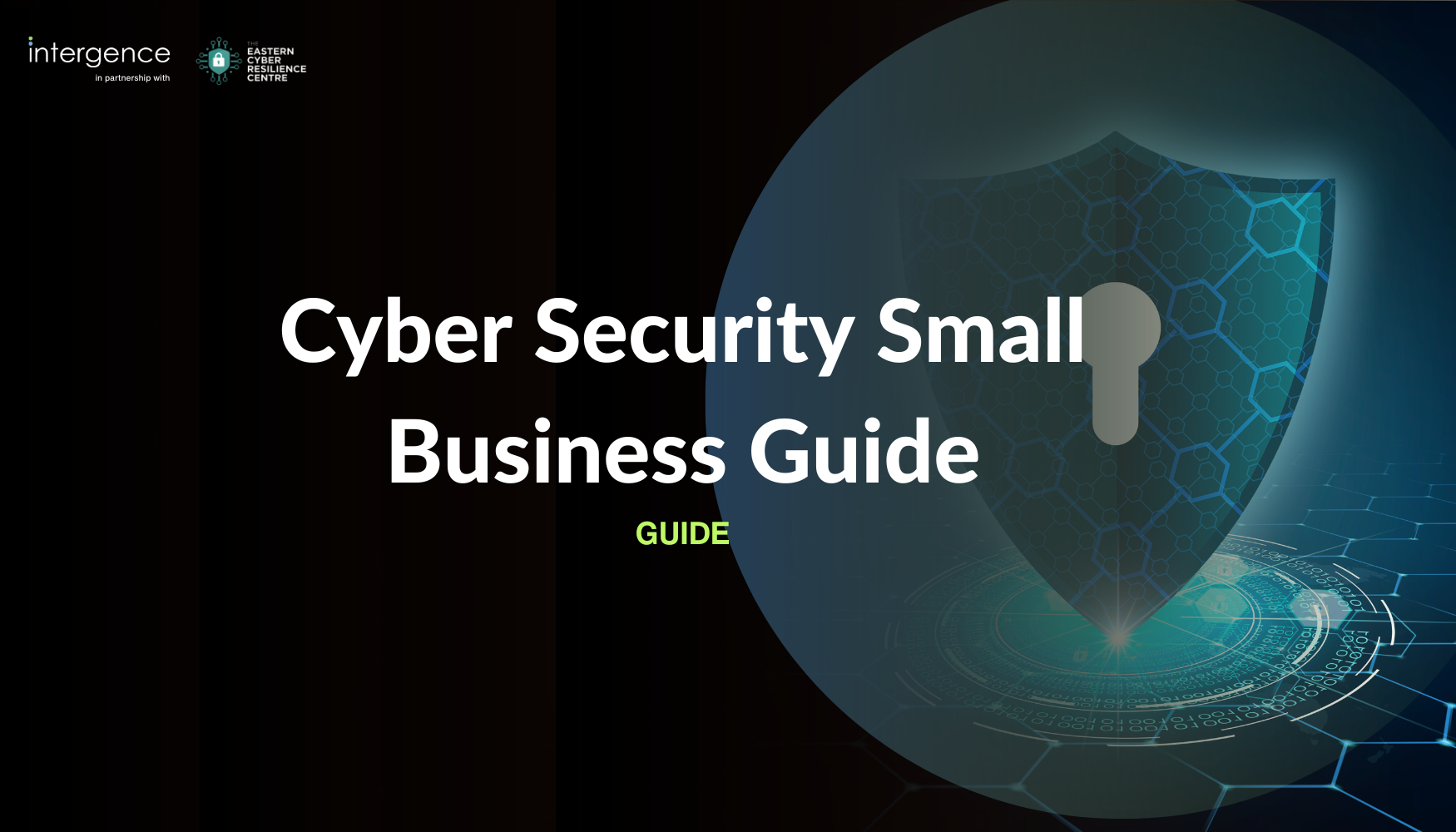 Cyber Security Small Business Guide